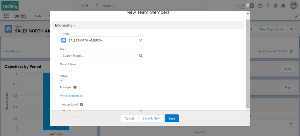 Set up Teams and Team Members - OKRify