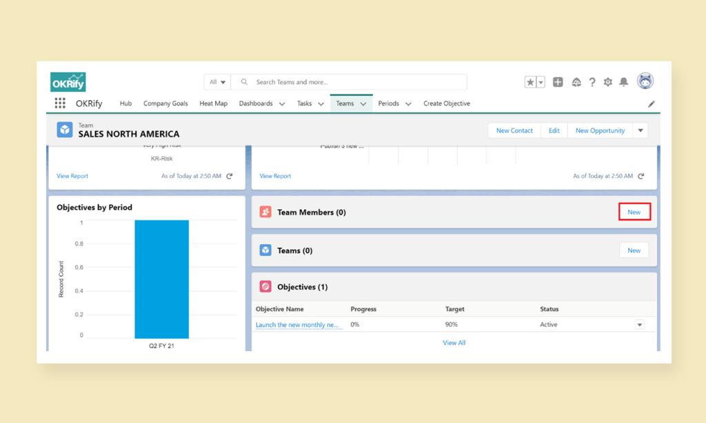 Setup Teams and Team Members - OKRify